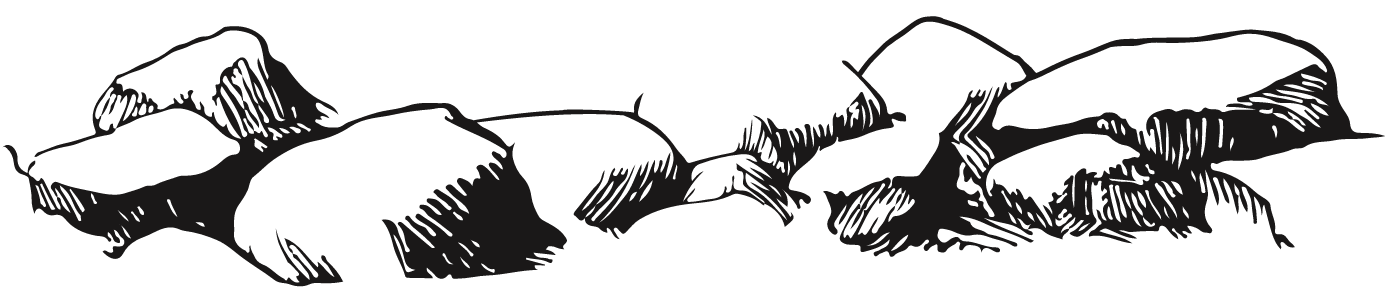 ProjectRun - Intersport x Brooks